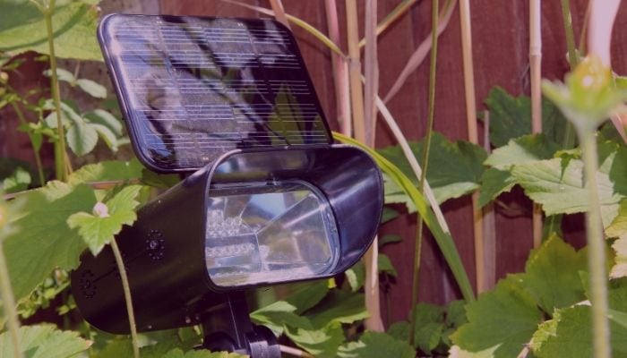 How Long Do Solar Lights Last? The Top 4 Factors